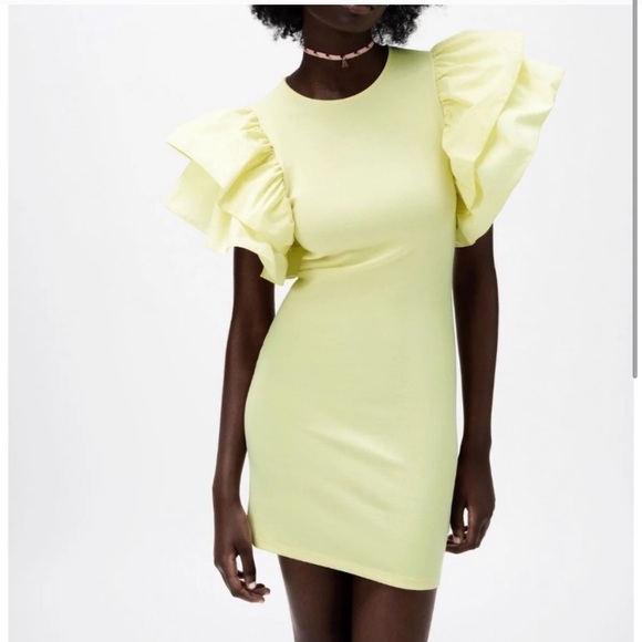 Zara | Dresses | Zara Ruffle Sleeve Dress | Poshmark